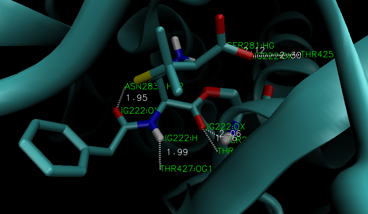 绿原酸酯与CALB Docking(2) - Covalent Docking(3upo案例)_protein pdb pdbqt-CSDN博客