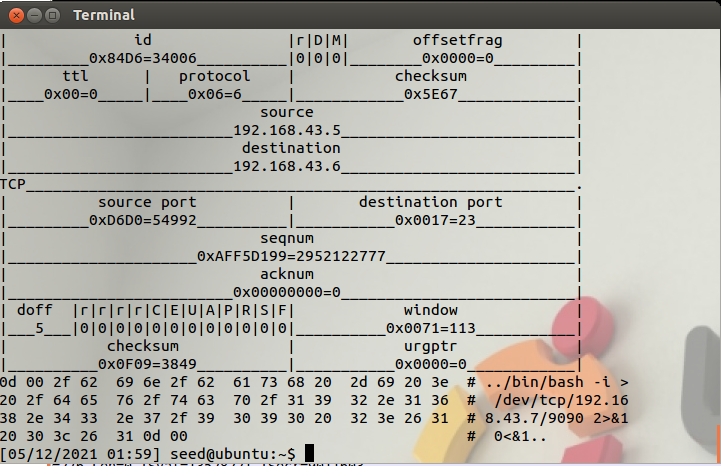 Tcpip Attack Labtcp Attacks Lab Csdn博客 