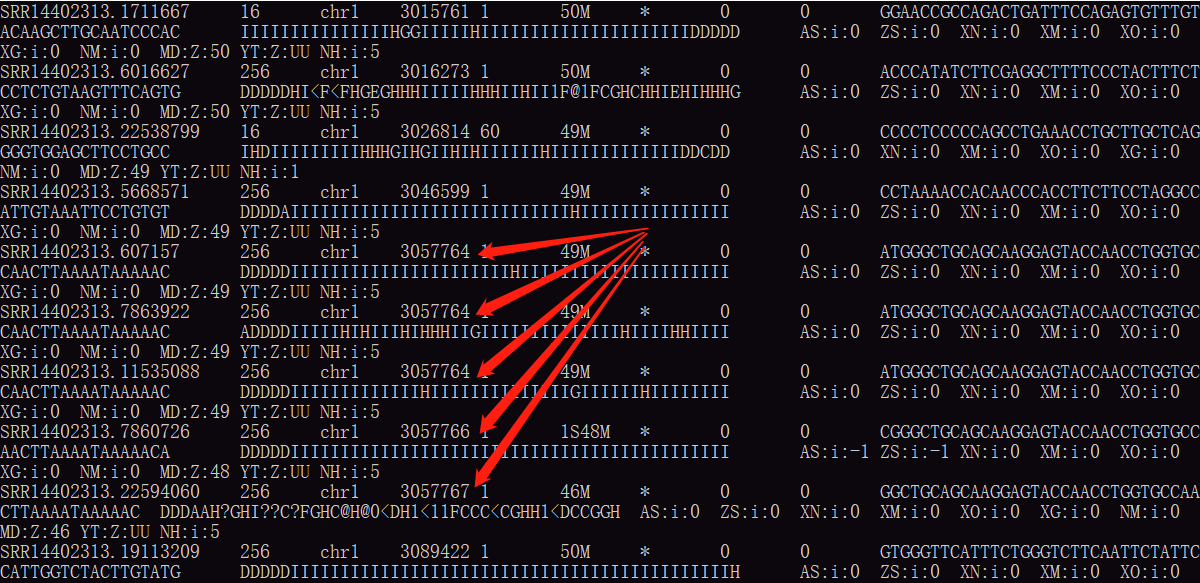 RNA-Seq流程分析_featurecount_纵亨的博客-CSDN博客