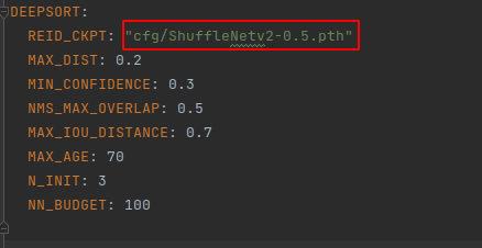 超轻量的deepsort目标跟踪源码分享_shuffenet deepsort-CSDN博客