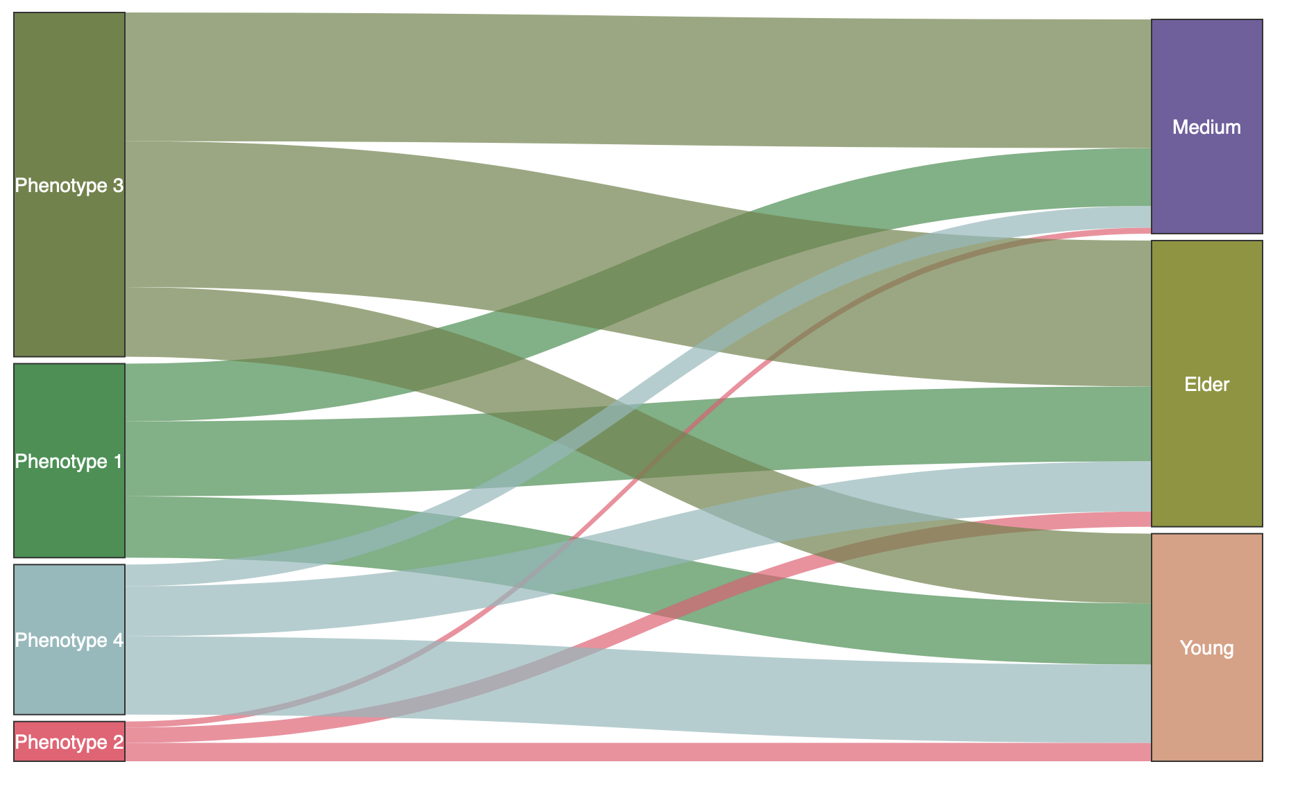 Pyecharts sankey桑葚图如何修改颜色_echart 桑葚图设置颜色 vue-CSDN博客