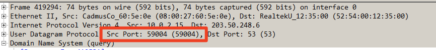 漏洞复现：DNS 缓存投毒的经典—— 2008年 kaminsky 漏洞_使用python实现kaminsky攻击-CSDN博客