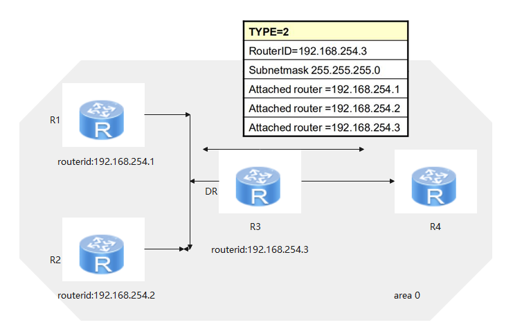 OSPF其二_dis ospf lsdb-CSDN博客