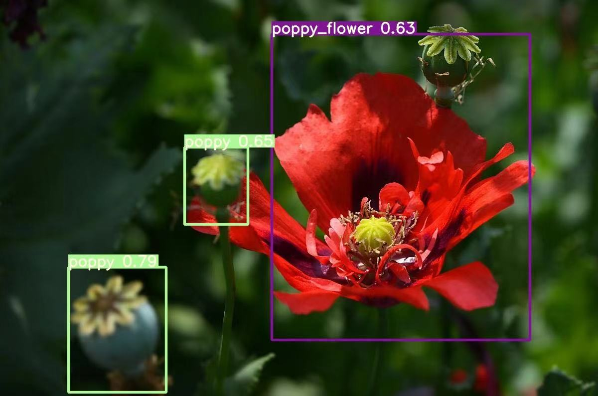 YOLO Learning 0: Yolo V5 Training your own data set - Programmer Sought