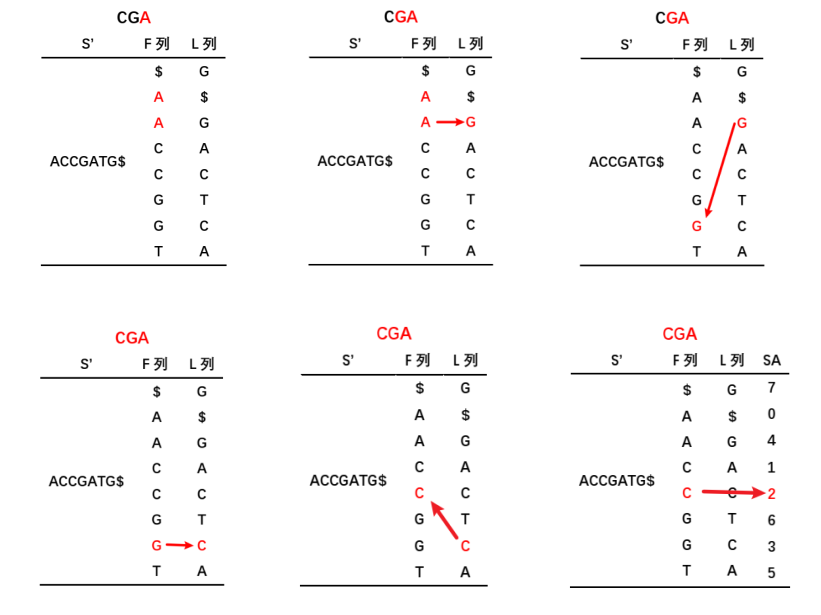 长字符串匹配（BWT编码、后缀数组、倍增算法、FM索引）_DannieG的博客-CSDN博客
