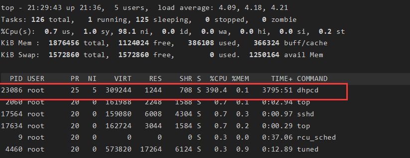 dhpcd占用CPU过高-CSDN博客