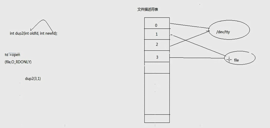 Linux服务端开发——Linux中stat函数和stat命令使用详解_linux stat-CSDN博客