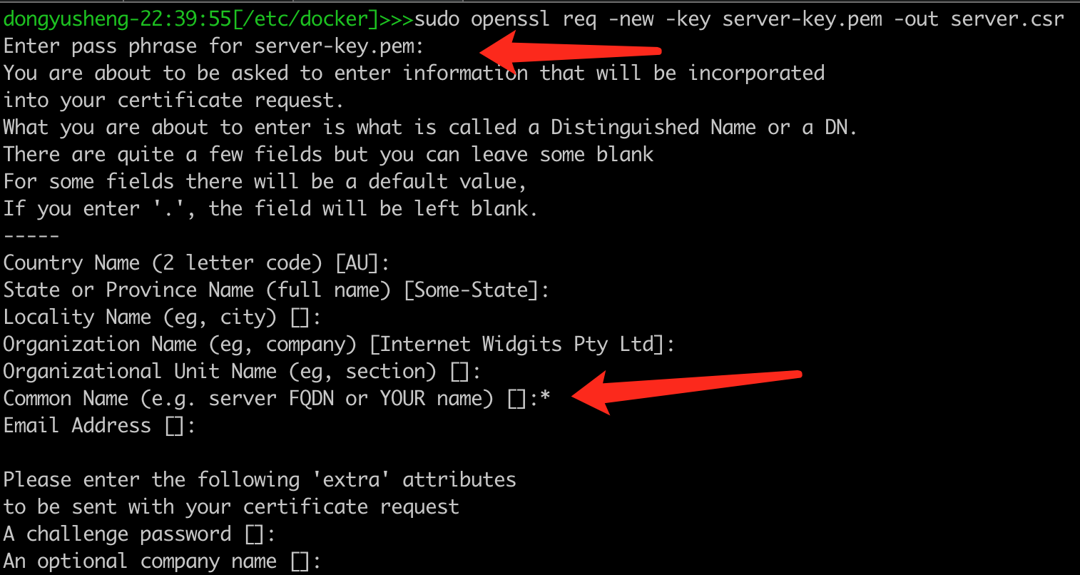 长文详解！Docker客户端与服务端TLS认证（Docker Remote API认证）_--tls-verify-CSDN博客