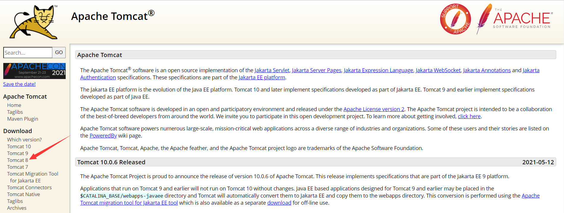 tomcat8安装及配置详细步骤（win10）_win10tomcat8安装及配置教程-CSDN博客