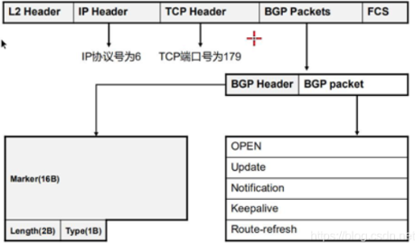 BGP讲解_bgp as号范围-CSDN博客
