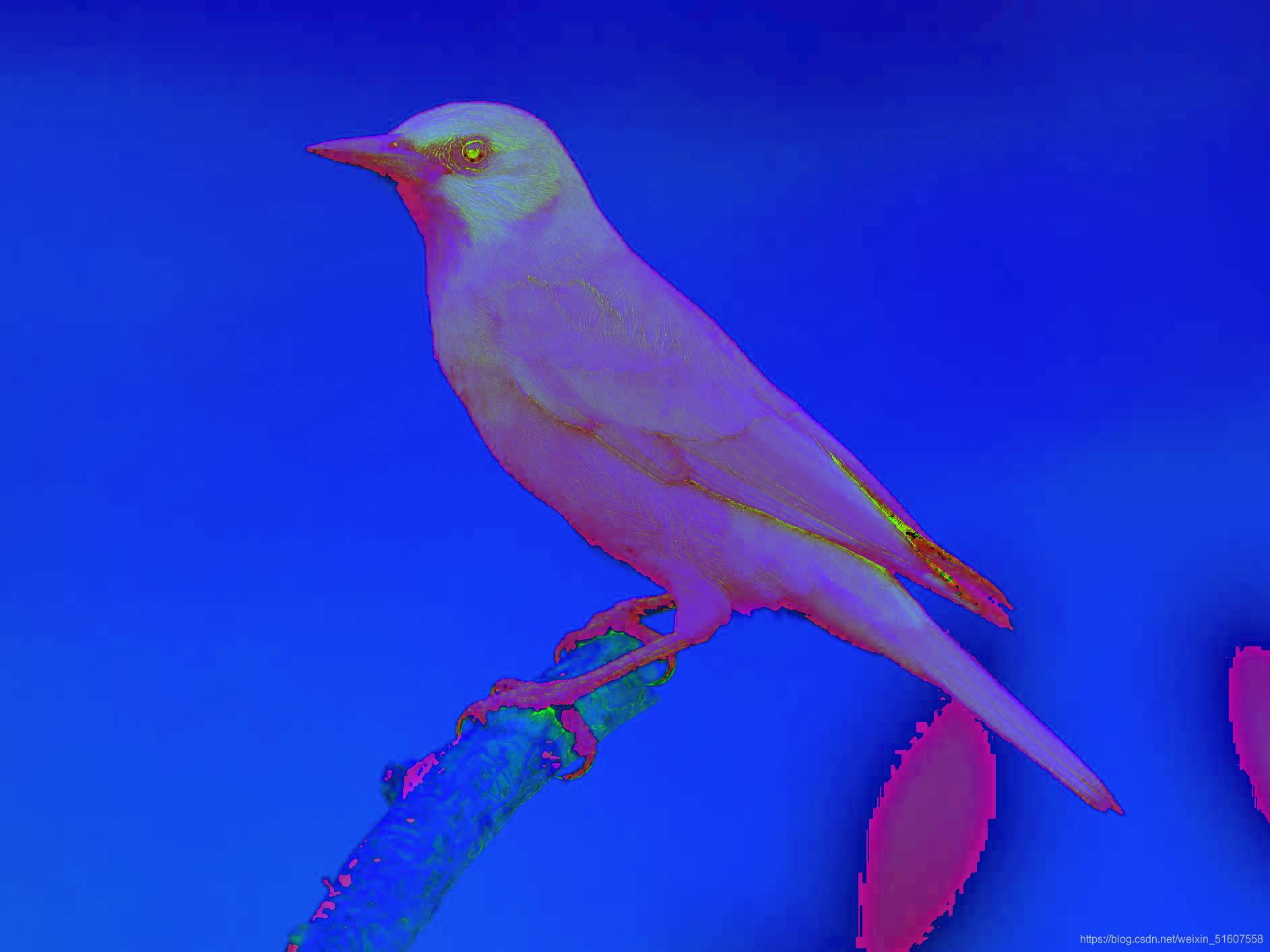 基于opencv Python实现抠图python Opencv 抠图 Csdn博客