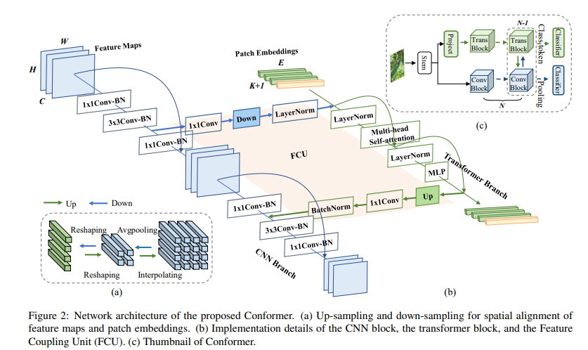 计算机视觉中的 CNN&Transformer&MLP Backbone网络模型设计前沿研究总结 (持续更新)_融合transform和cnn在计算机视觉有哪些-CSDN博客
