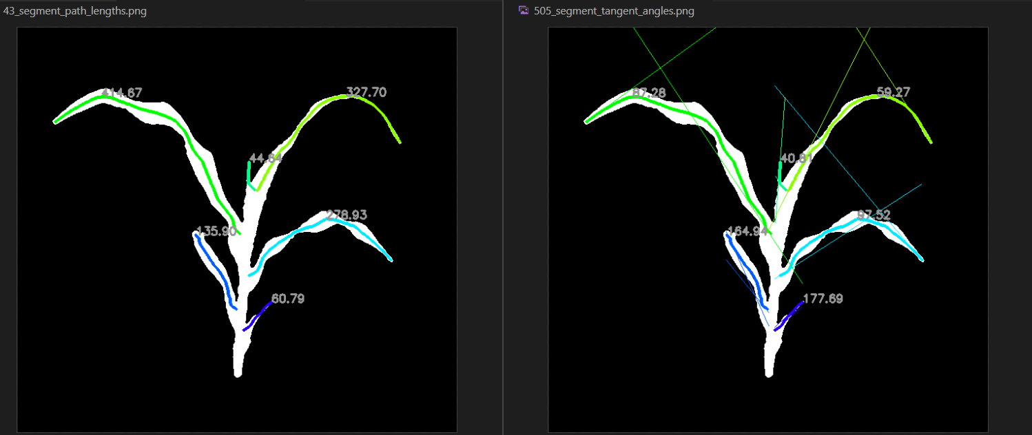 关于PlantCV的尝试_plantcv库的使用教程-CSDN博客