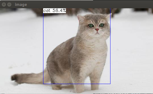 ncnn填坑记录三：在pc端运行examples-CSDN博客