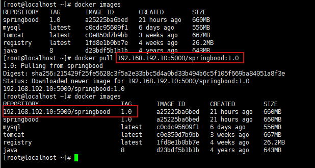 Docker 的安装、启动 和 基本用法_启动docker-CSDN博客