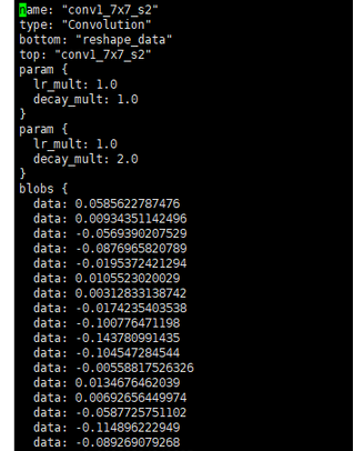 【Caffe】caffe框架讲解，解析修改caffemodel与prototxt-CSDN博客