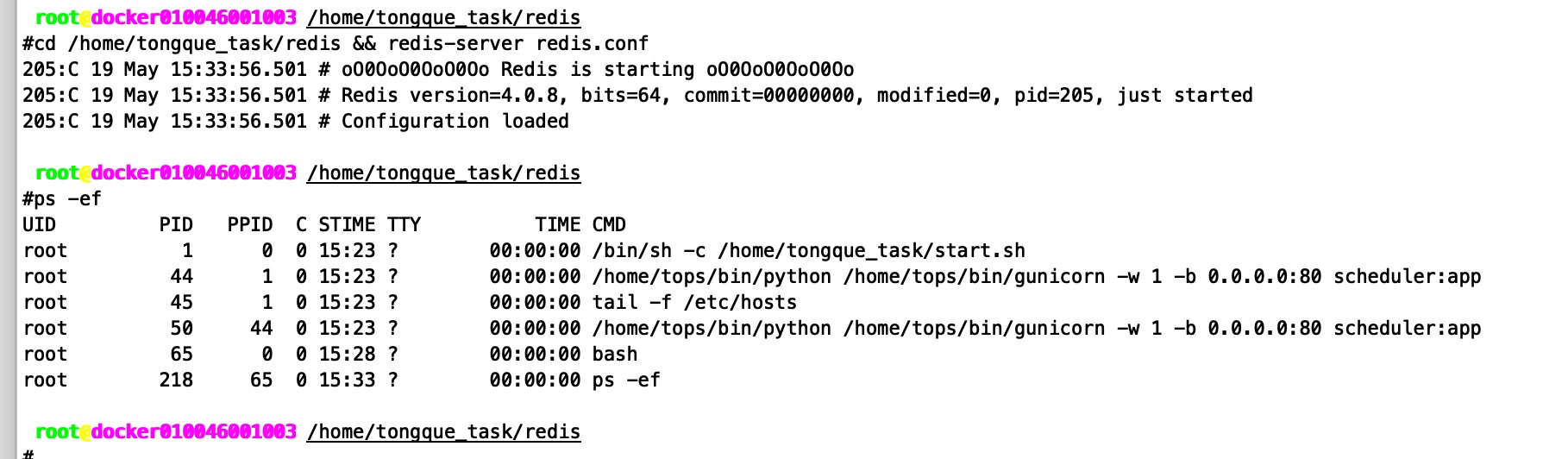 redis指定配置文件启动失败_redis-server 无法指定 启动的配置文件-CSDN博客