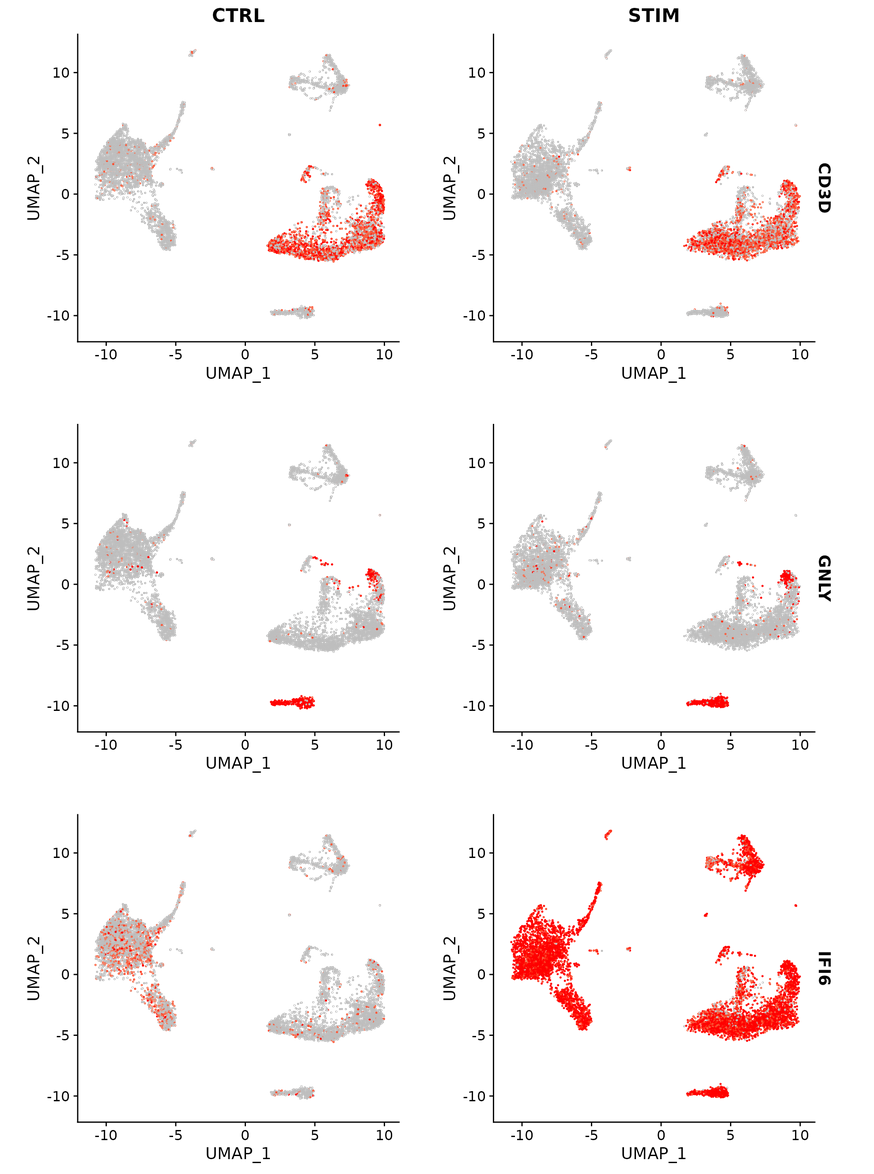 单细胞测序两组差异分析—seurat包_单细胞测序组间差异基因分析-CSDN博客