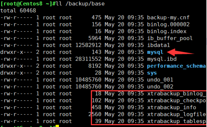 如何利用 xtrabackup 实现完全备份及还原_xtrabackup 还原-CSDN博客