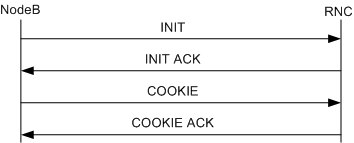 TCP/IP：SCTP报文格式_sctp数据包格式-CSDN博客