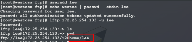 FTP/Vsftpd服务本地用户及虚拟用户访问控制详解_vsftp本地用户和虚拟用户-CSDN博客