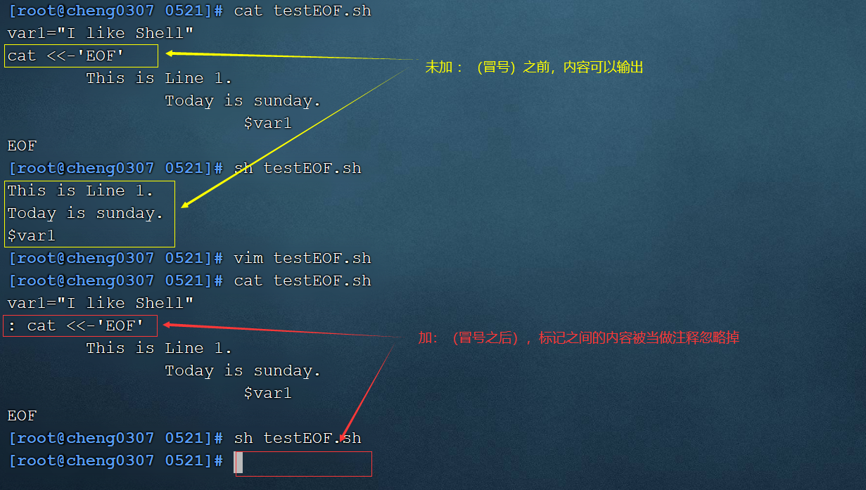 自动化运维必须要学的Shell脚本之——免交互操作，分分钟解放双手！_不进行点对点连接,就可以执行批量shell文件的工具-CSDN博客
