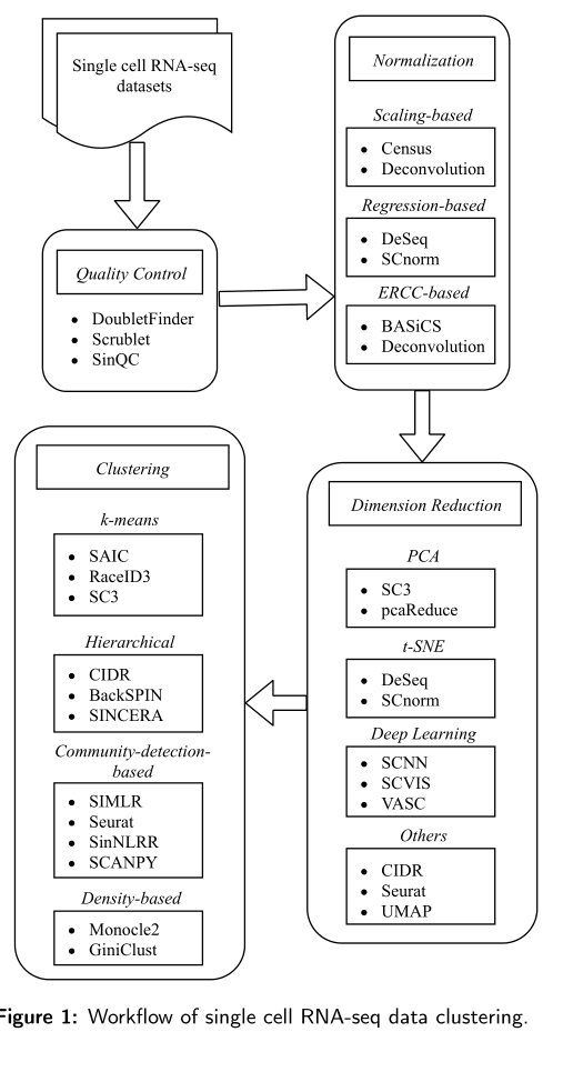 文献翻译 Review of Single-cell RNA-seq Data Clustering for Cell Type Identification and ...