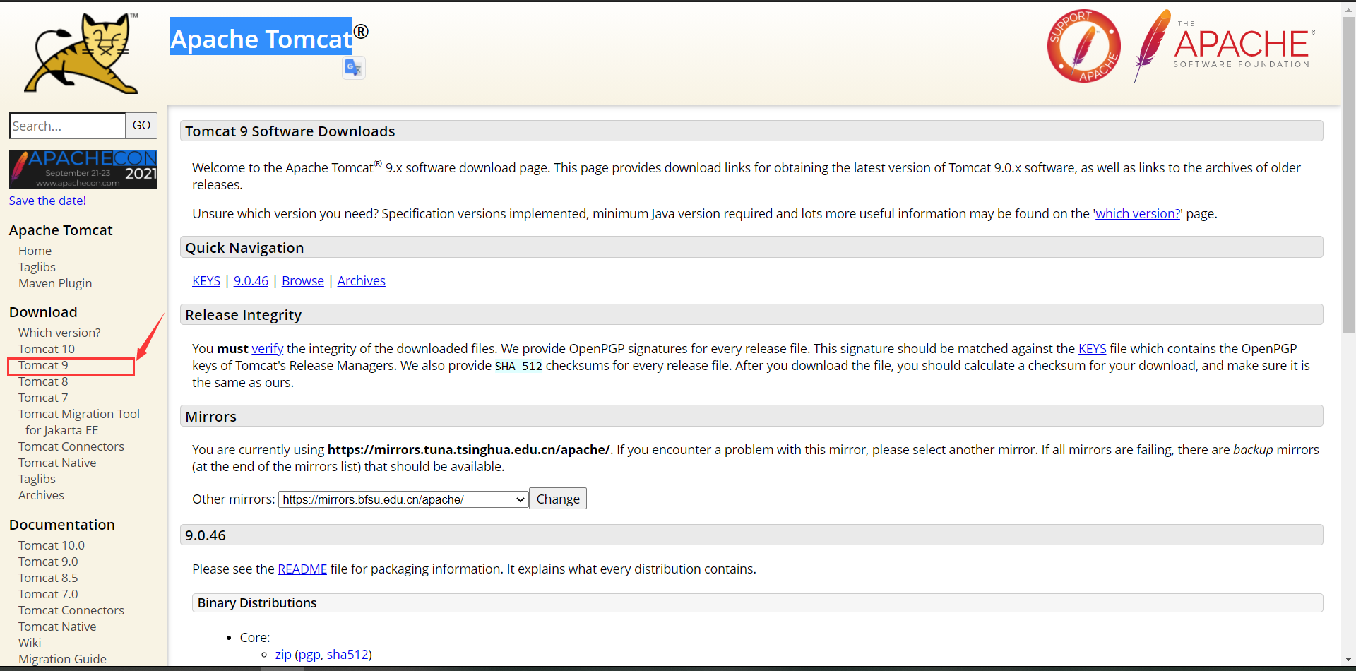 Tomcat9.0.46.zip安装及配置教程-CSDN博客