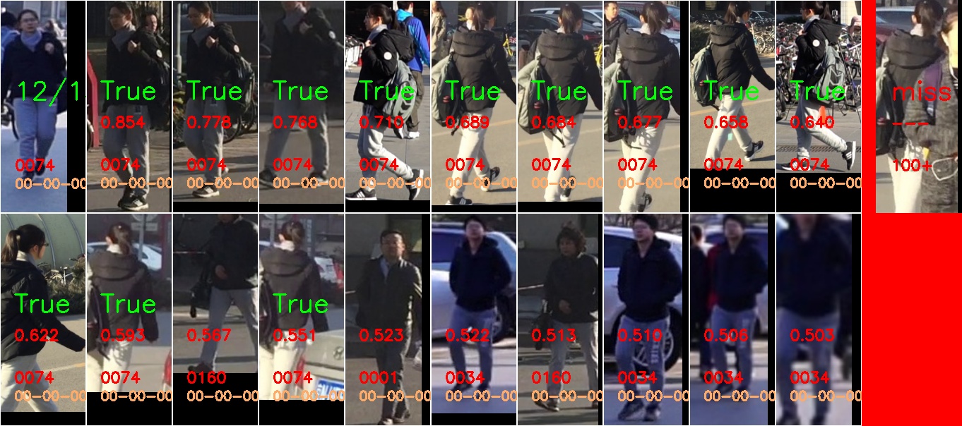 做了两年多REID的实际使用效果展示_有没有训练好的reid大模型-CSDN博客