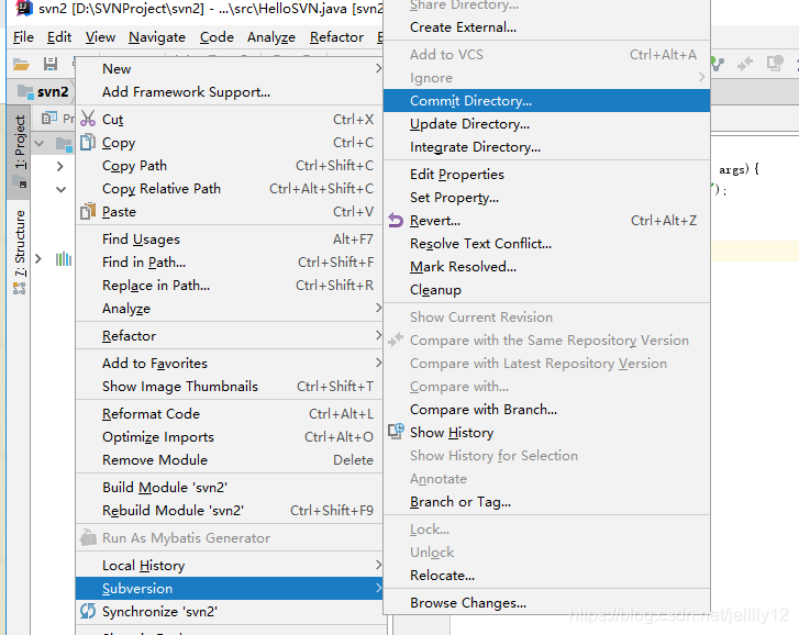 使用Idea将本地项目上传至SVN远程仓库_idea 中share directory-CSDN博客