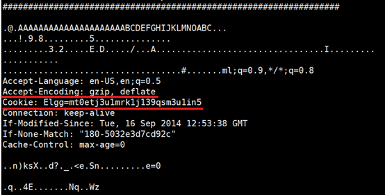 漏洞分析Heartbleed Attack Lab（自用、记录）-CSDN博客