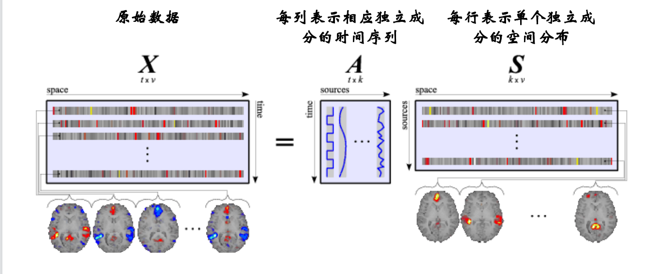 静息态功能连接以及脑网络-CSDN博客