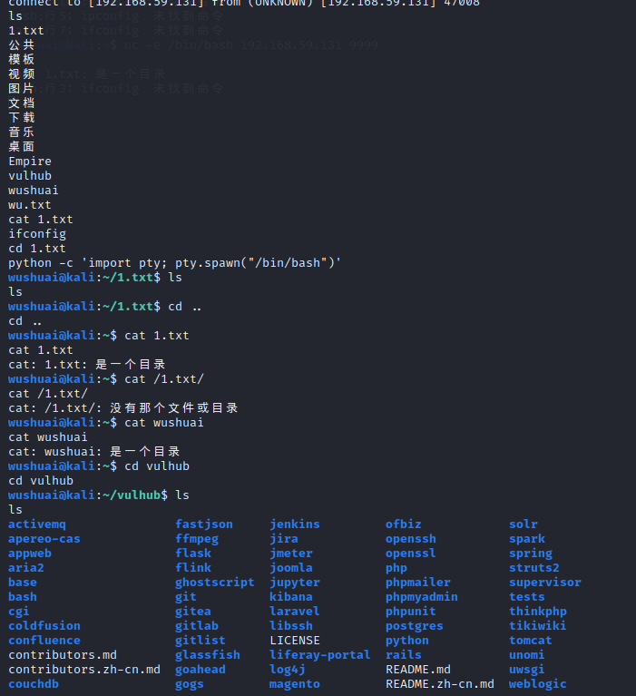 Windows下反弹shell的方式_cmd反弹shell-CSDN博客