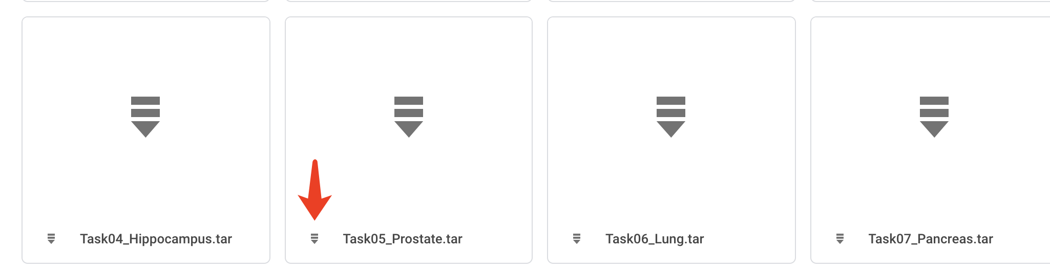 nnUNet实战一使用预训练nnUNet模型进行推理_预训练的u-net模型-CSDN博客