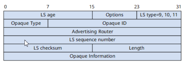 MPLS TE原理描述_cspf算法-CSDN博客