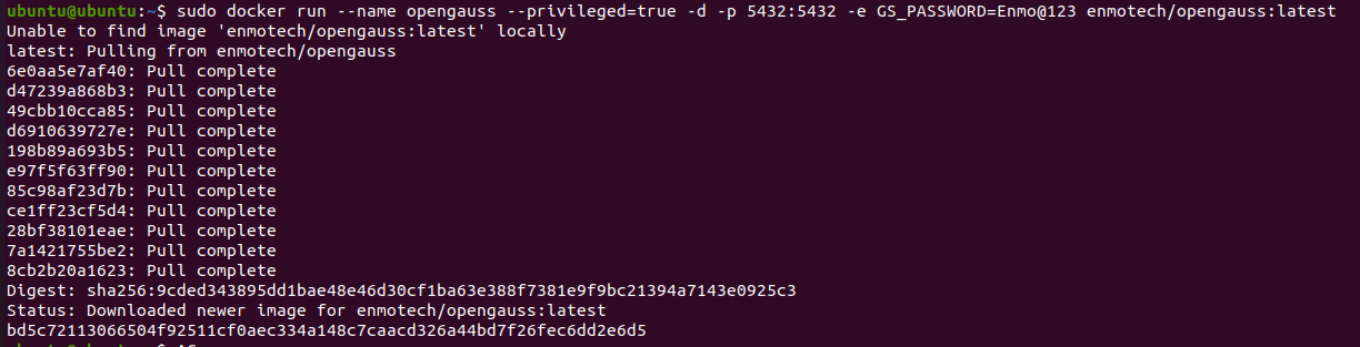 【openGauss】Ubuntu 三条命令装好 opengauss-CSDN博客