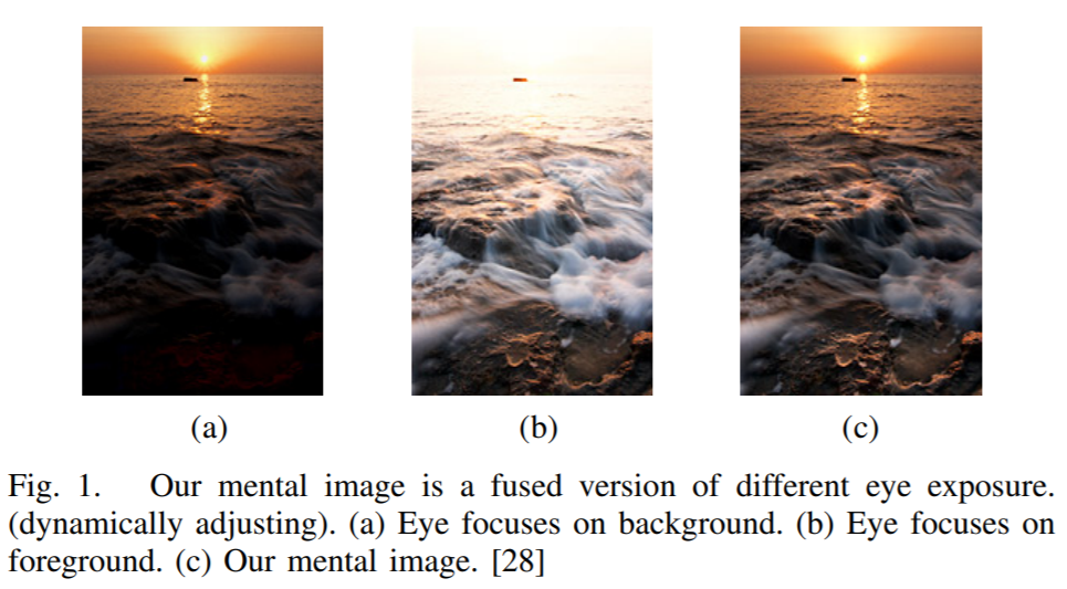 A Bio-Inspired Multi-Exposure Fusion Framework for Low-light Image Enhancement—论文研读-CSDN博客