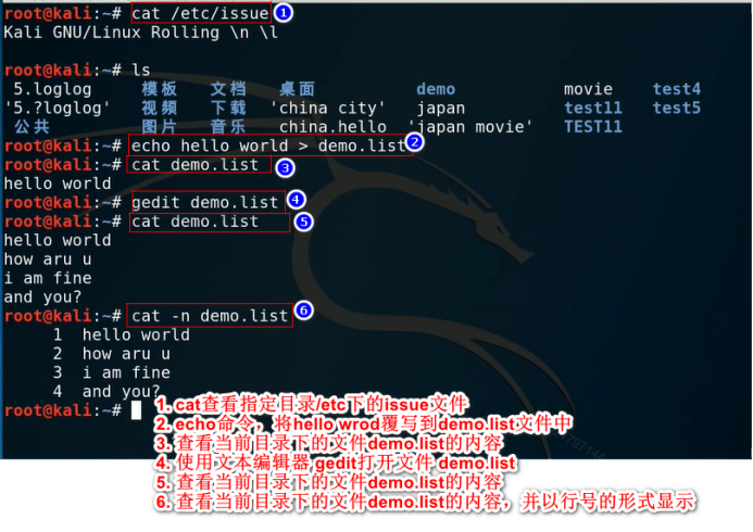 Cat命令学习（一）cat编程 Csdn博客 