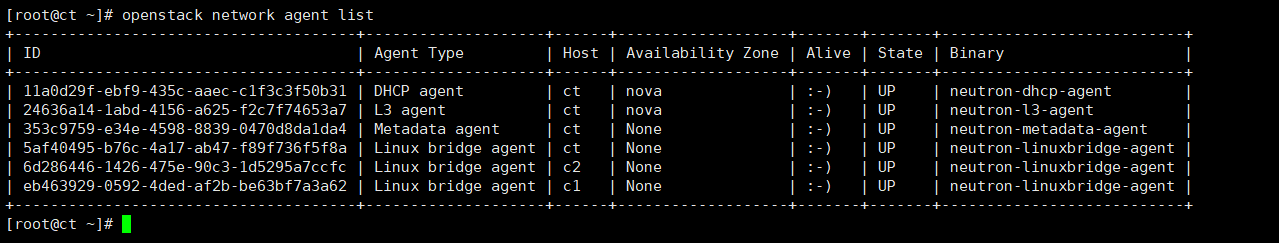 云系列---Openstack Neutron组件 | 参数说明 | 详细讲解_openstack-neutron-bridge-CSDN博客