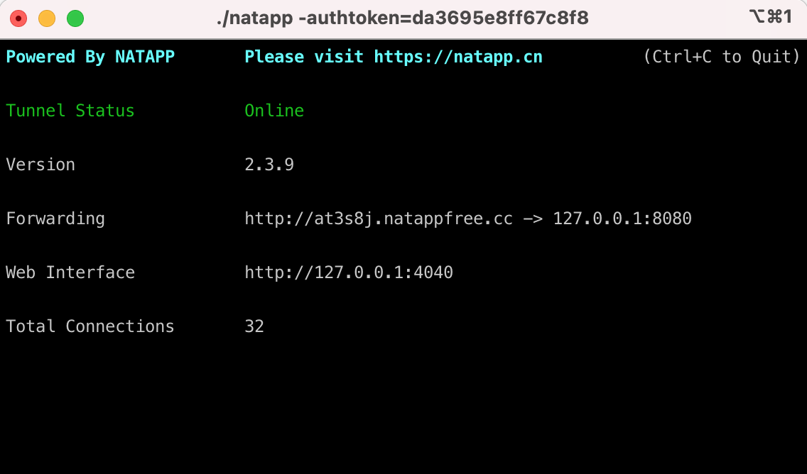 【内网穿透】NATAPP内网穿透详解_natapp下载后解压是一个文本-CSDN博客