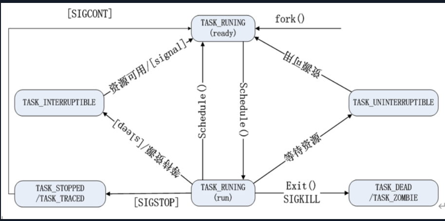 操作系统 实验二 观察Linux进程状态_windows linux进程观察实验总结-CSDN博客