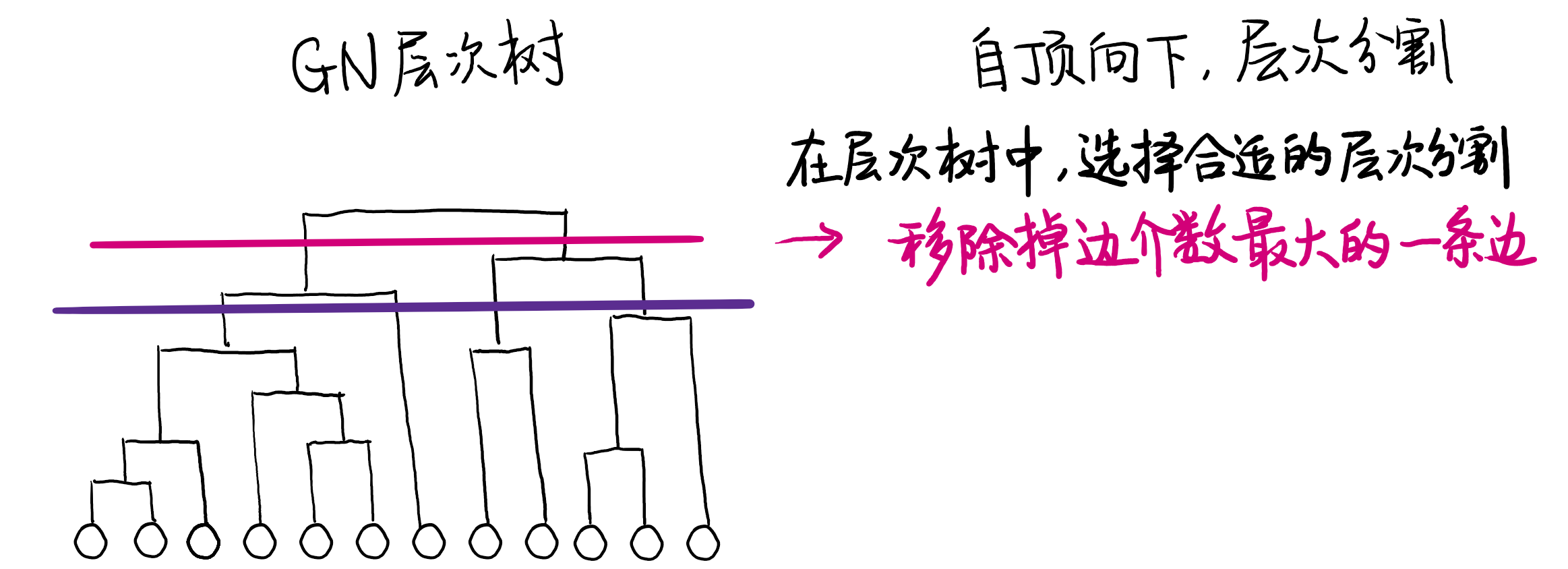 社区发现算法专题之 GN算法-CSDN博客