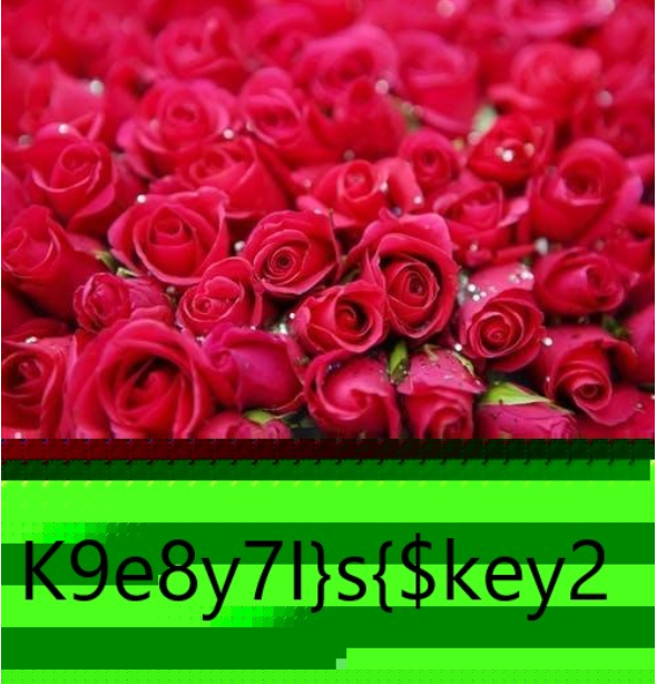 BugkuCTF 部分题解(一)_ctf截图选老婆-CSDN博客