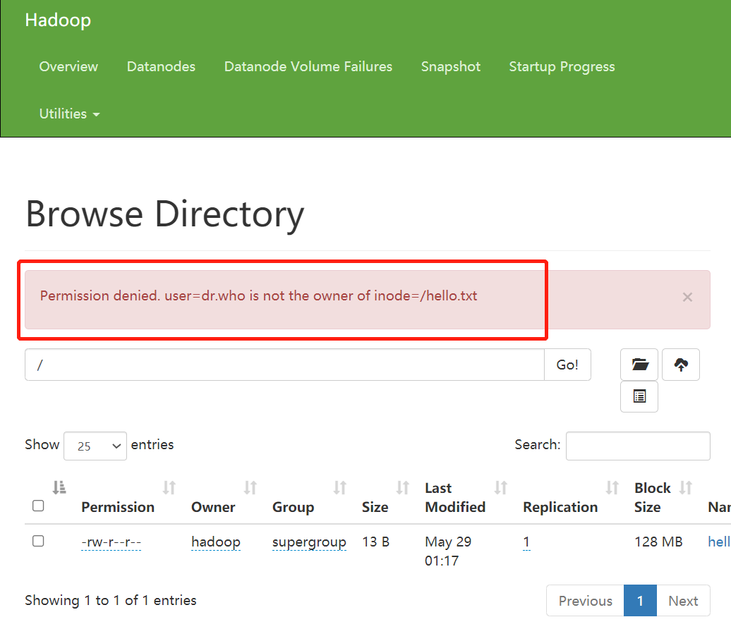 远程接入HDFS(9870端口)官方自带可视化管理界面的方法和局限性-CSDN博客