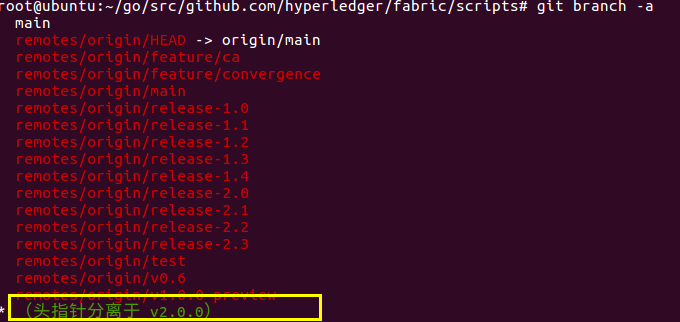 Hyperledger Fabric1.4/2.0/2.3以及最新版本环境部署在Ubuntu16.04上（多次踩坑总结出来）_fabric用2 ...