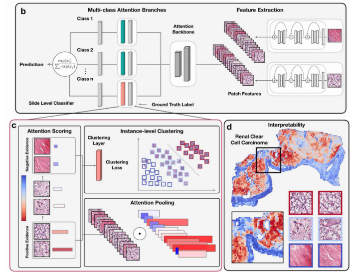 CLAM——论文笔记_data efficient and weakly supervised computational-CSDN博客