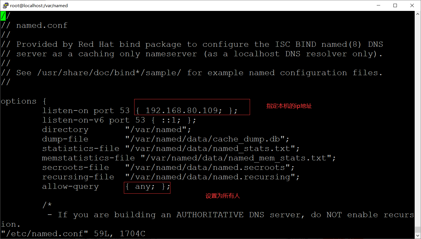 linux下如何搭建dns服务和dns主从同步_自建的域名 是如何同步到运营商dns服务器的-CSDN博客