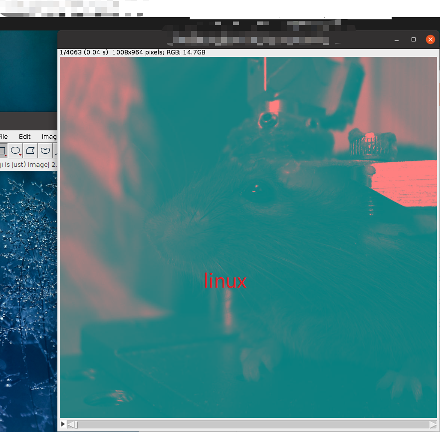 linux imageJ 显示RGB图像异常_imagej打开的图片很奇怪-CSDN博客