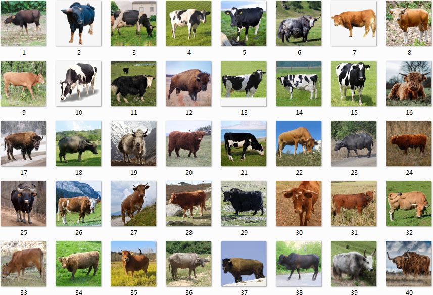 Python图片操作-psd_tools：将psd文件转换成BMP_psdtools text-CSDN博客