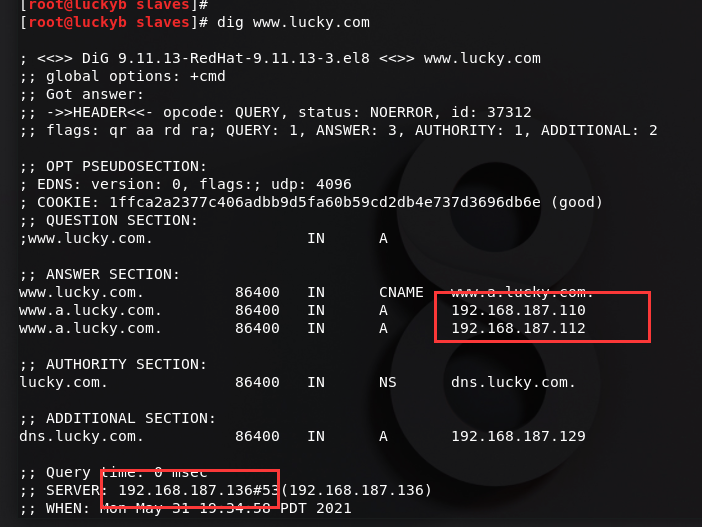 linux下的DNS服务器部署（详细）_linux配置dns-CSDN博客